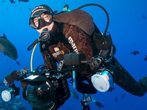 Morena – manu san felix | VELLMARI